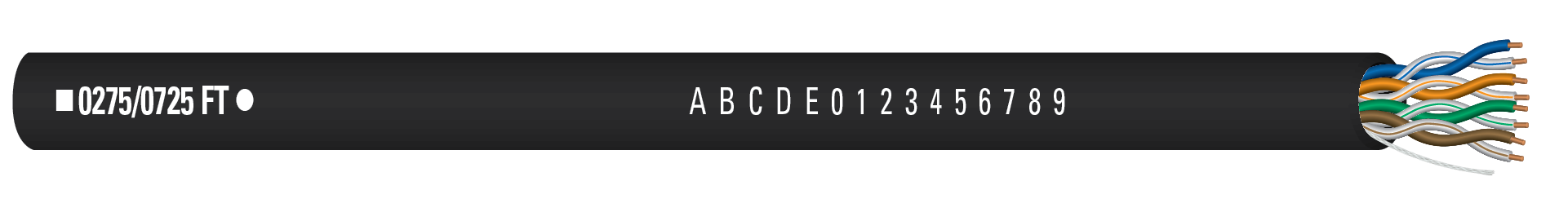 CAT6DB-BLK